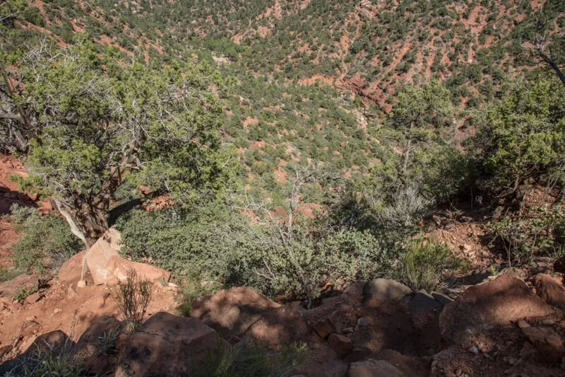 Archangel Falls — Photographers Trail Notes