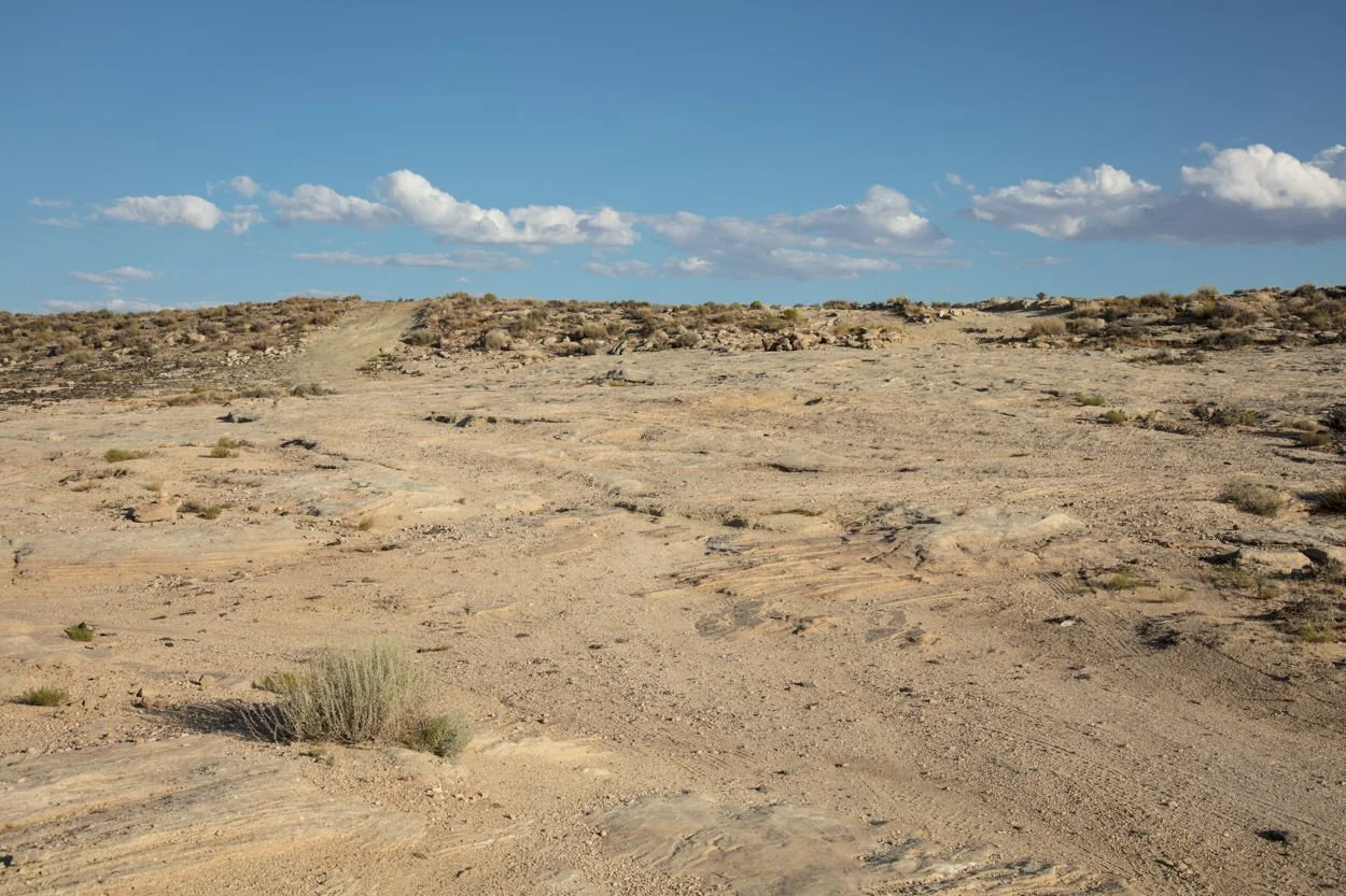 Alstrom Point — Photographers Trail Notes