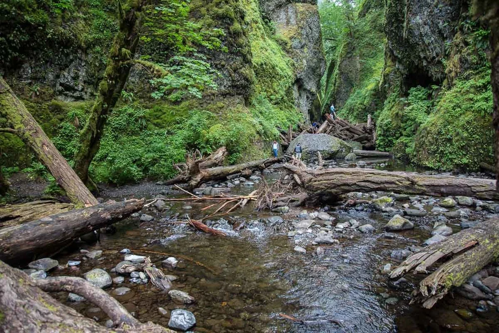 Guide to Photograph Oneonta Gorge - Columbia Gorge | Photographers ...