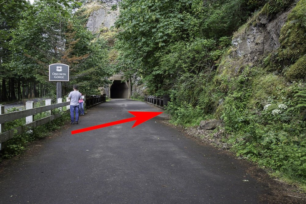 Guide to Photograph Oneonta Gorge - Columbia Gorge | Photographers ...