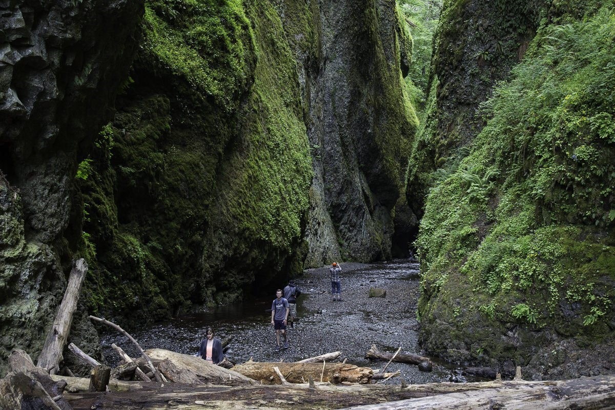 Guide to Photograph Oneonta Gorge - Columbia Gorge | Photographers ...