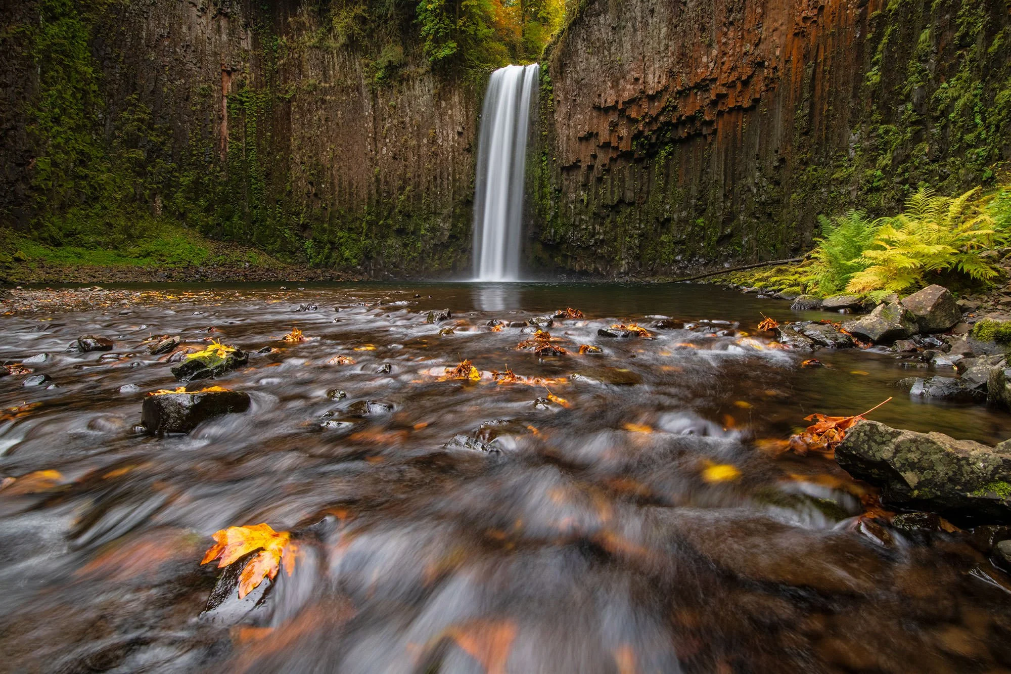 Photographers Guide for Abiqua Falls, OR | Photographers Trail Notes ...