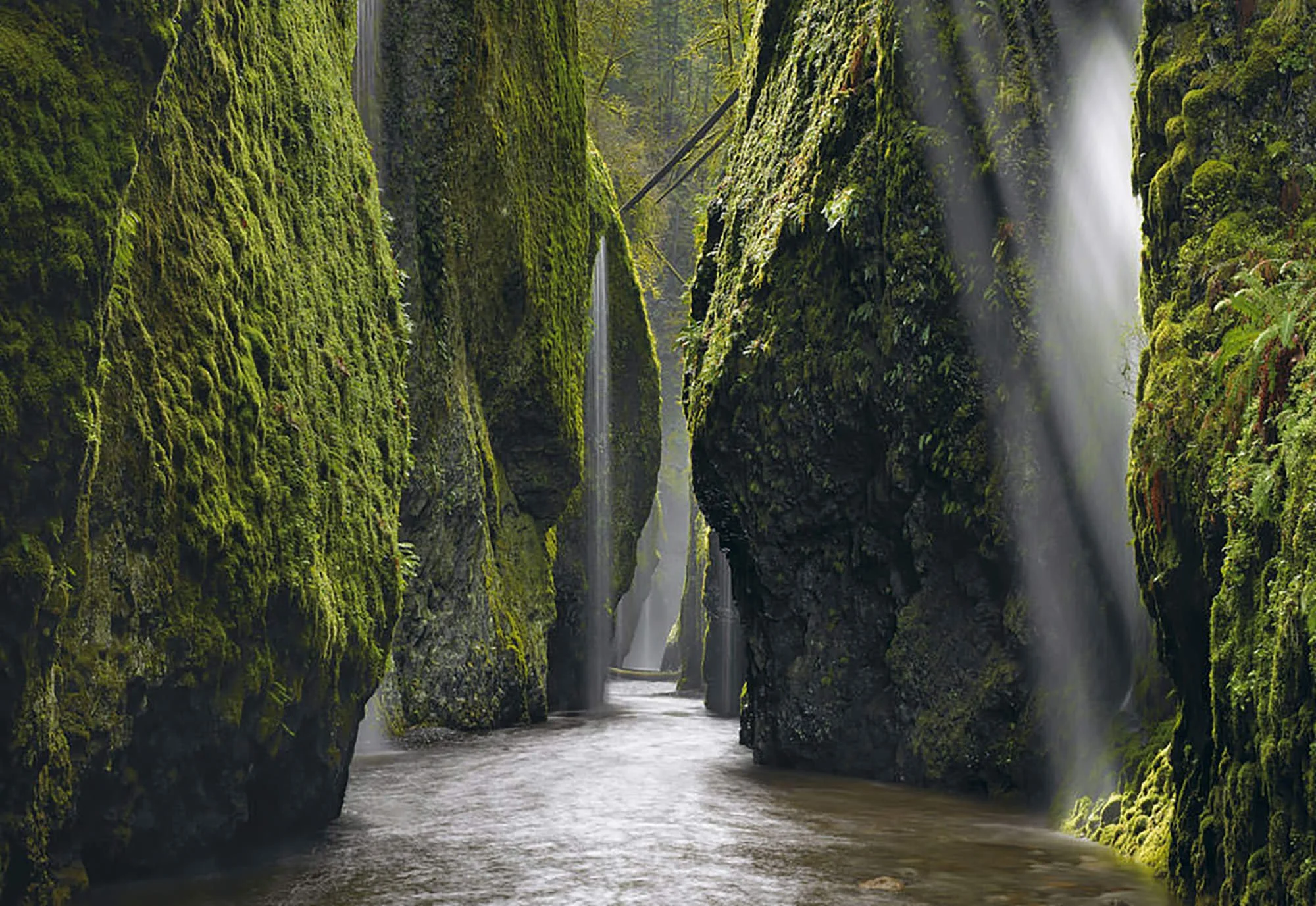 Guide to Photograph Oneonta Gorge - Columbia Gorge | Photographers ...