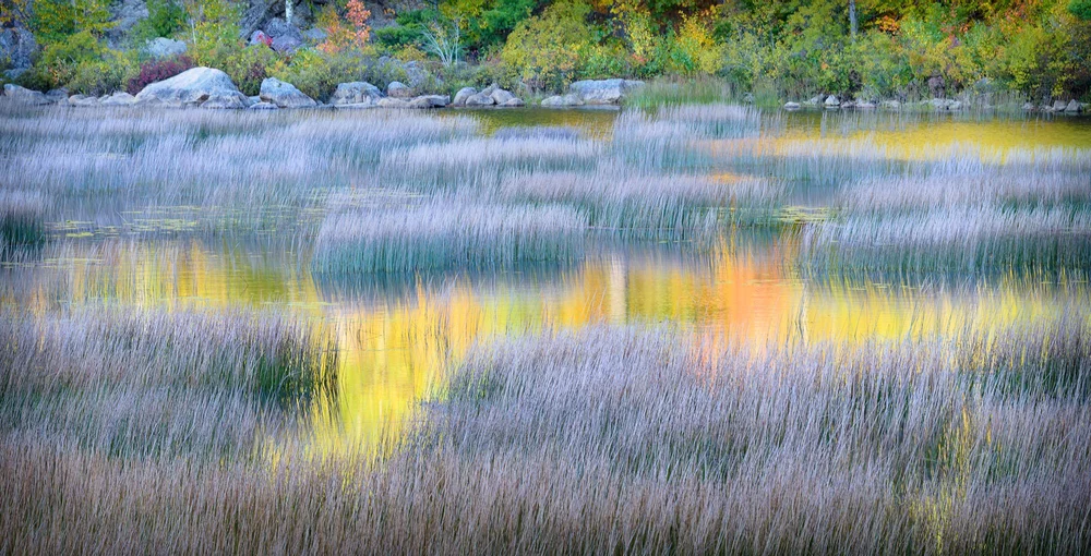 Guide to photographing The Tarn - Acadia | Photographers Trail Notes