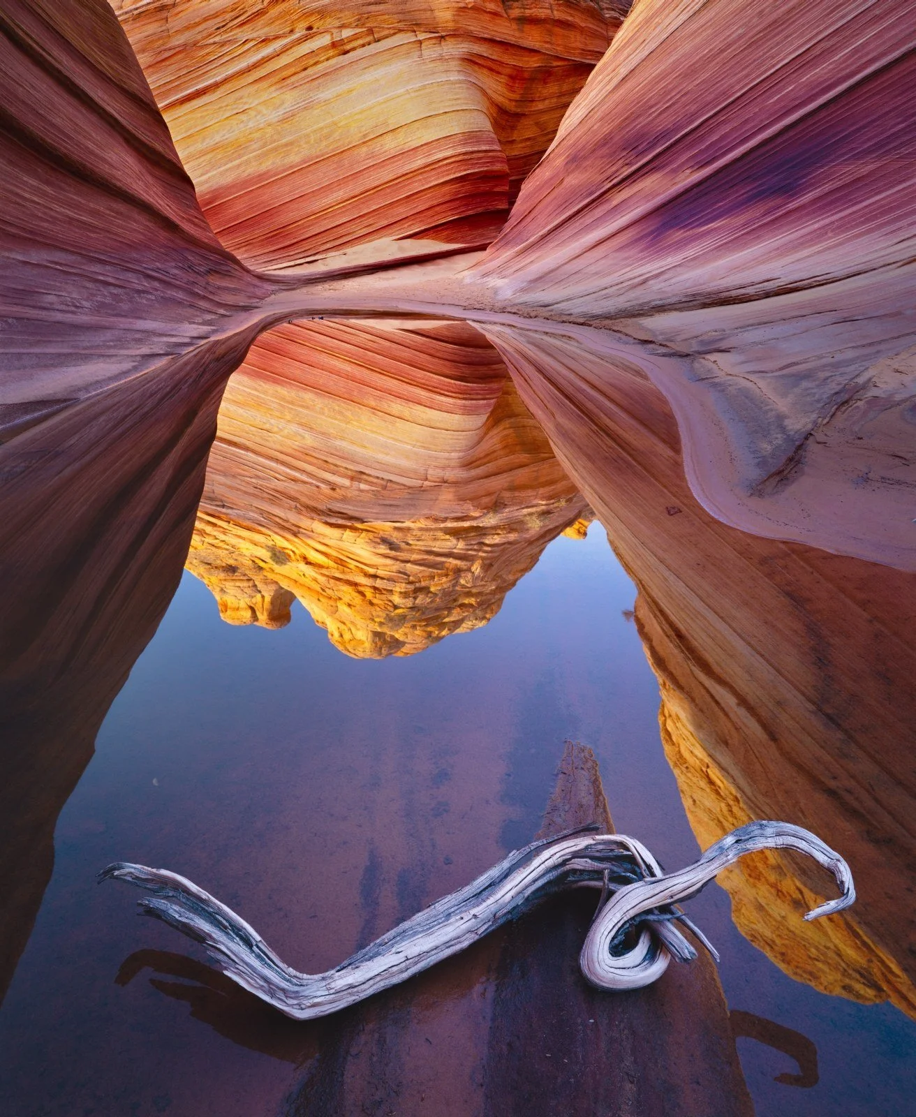 The Wave — Photographers Trail Notes