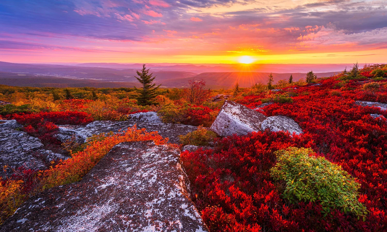Guide to photographing Dolly Sods | Photographers Trail Notes ...