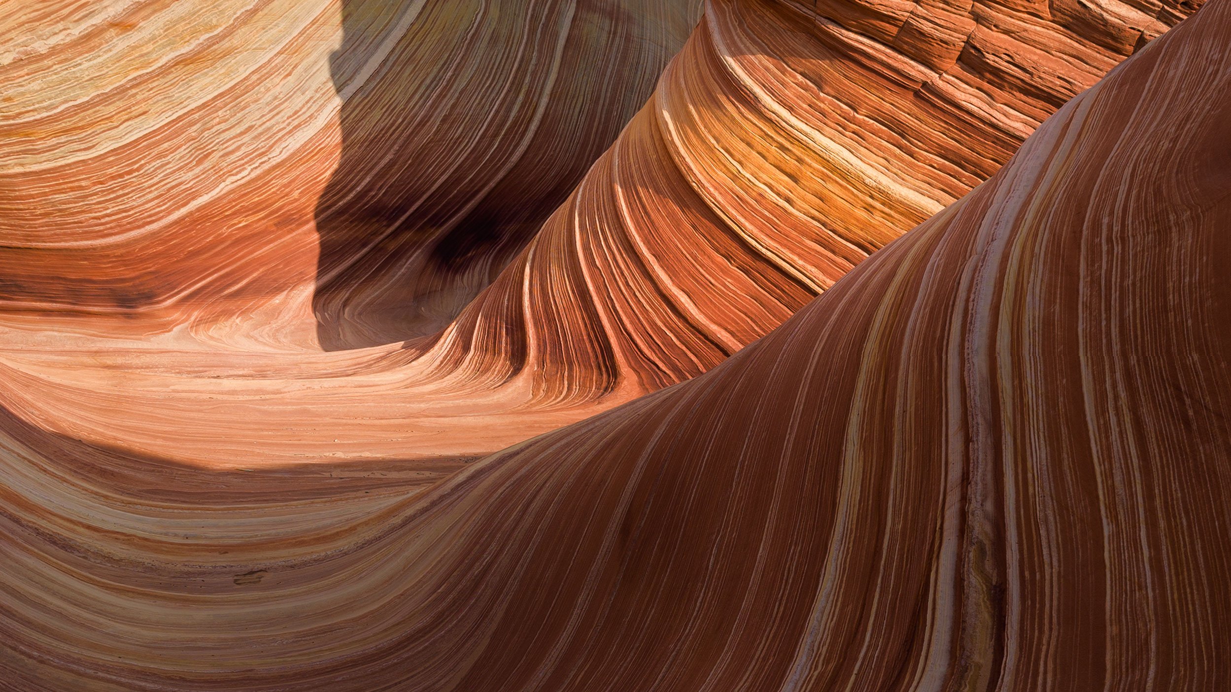 The Wave — Photographers Trail Notes