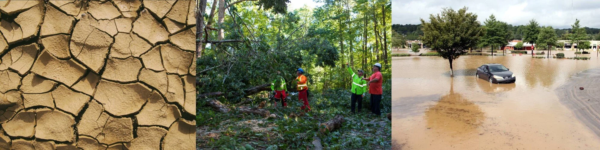 Climate Action & Response Plan — Sustainable Chapel Hill