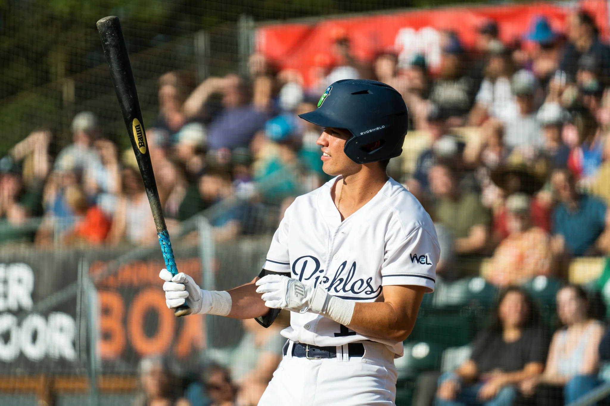 News — PORTLAND PICKLES