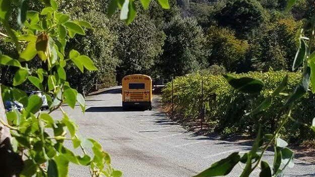 Driver Instructors — Schoolbusing.org