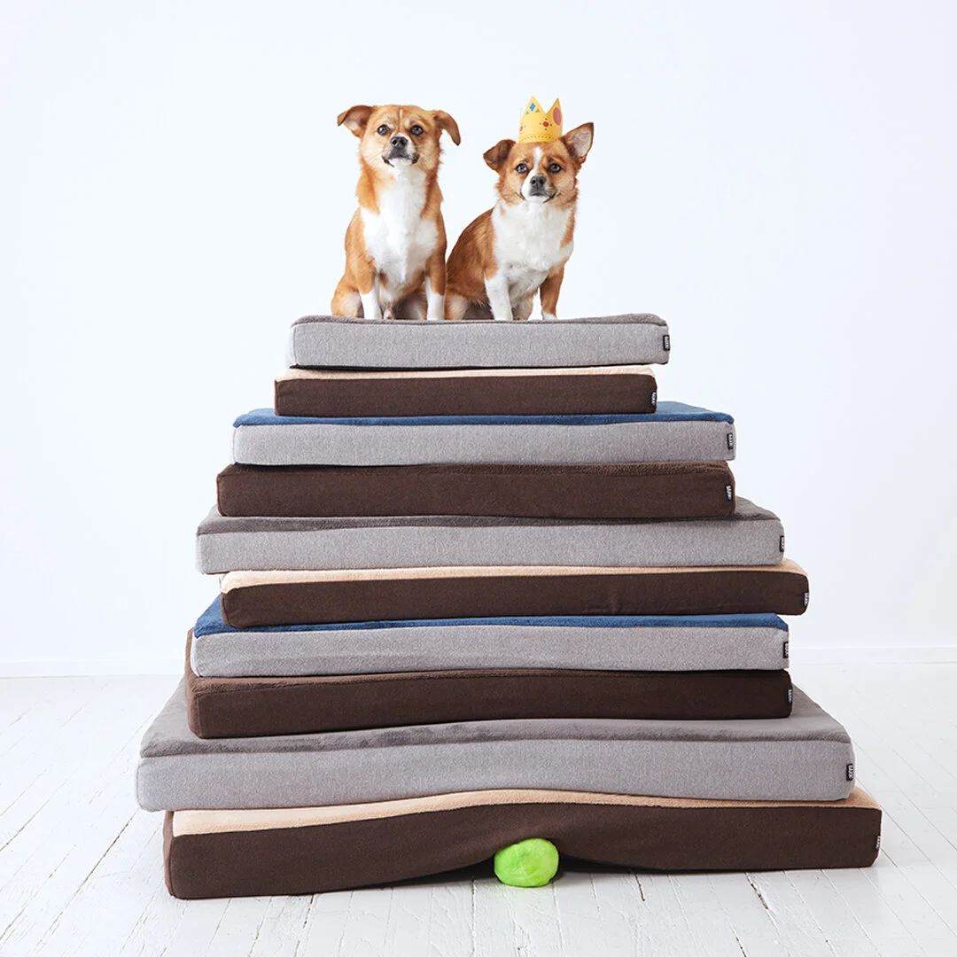 Mattress Bed — Bark Home