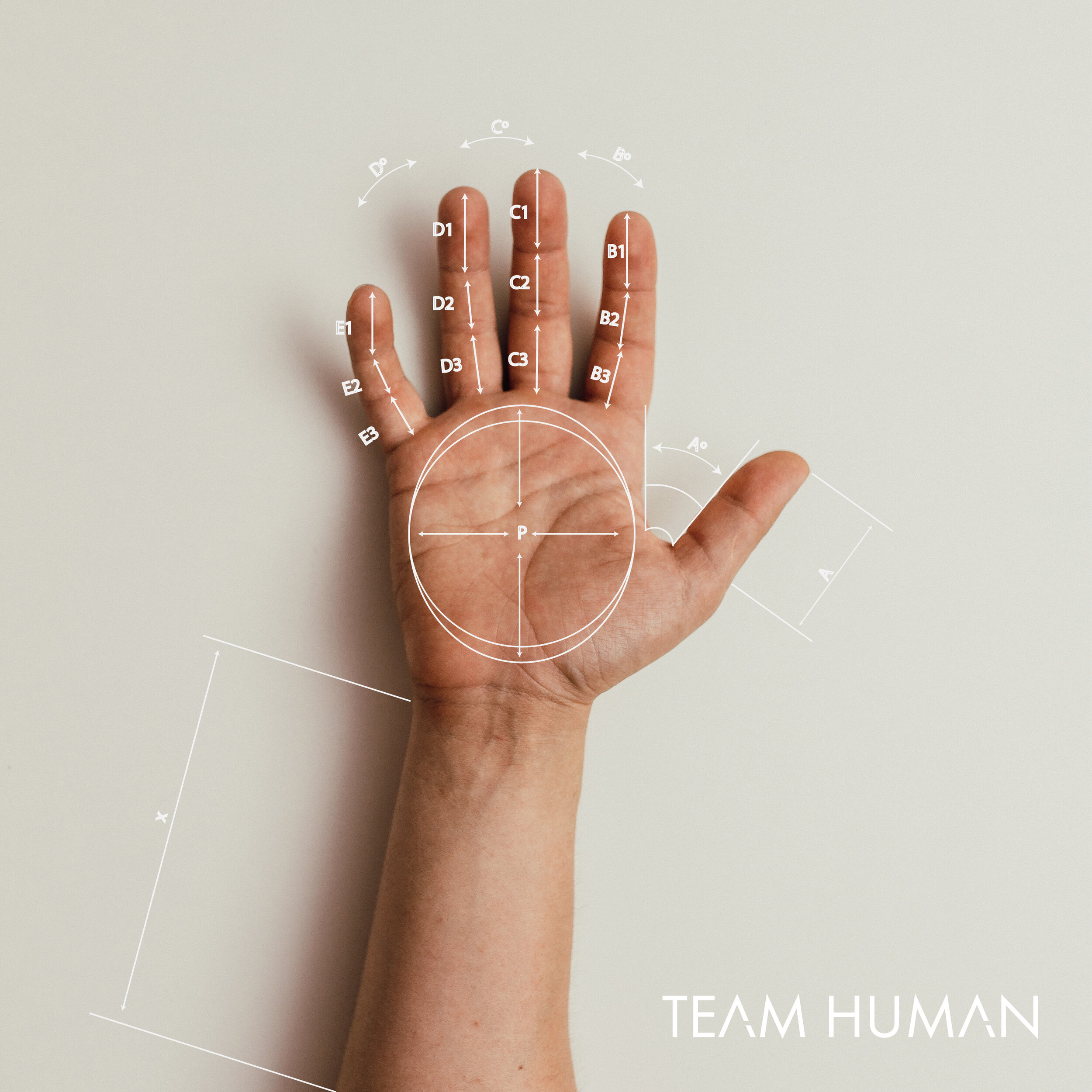 Blog — TEAM HUMAN