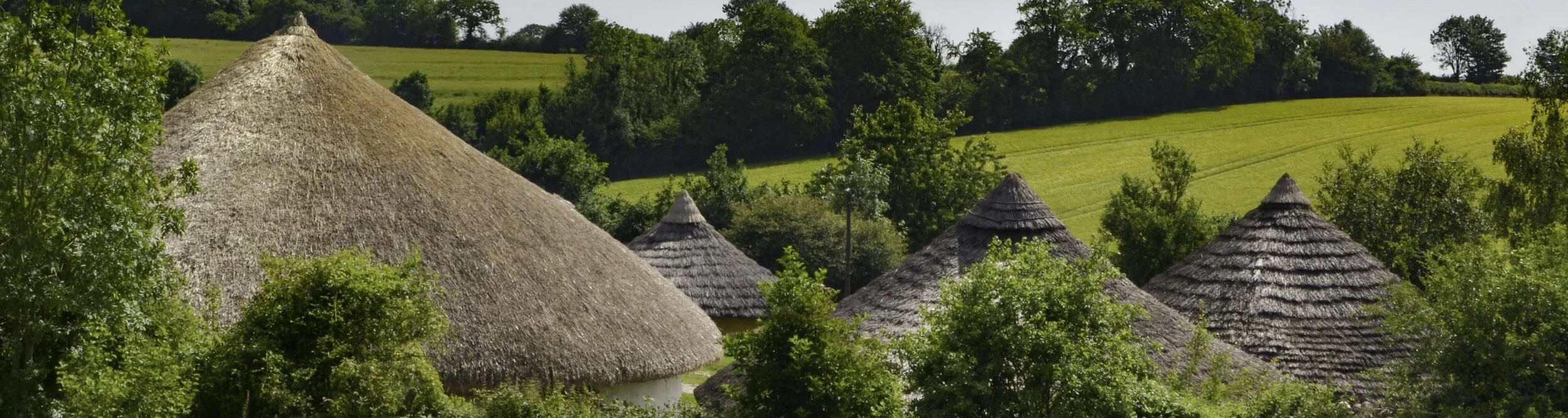 Ancient Buildings and Archeological Experiments — Butser Ancient Farm