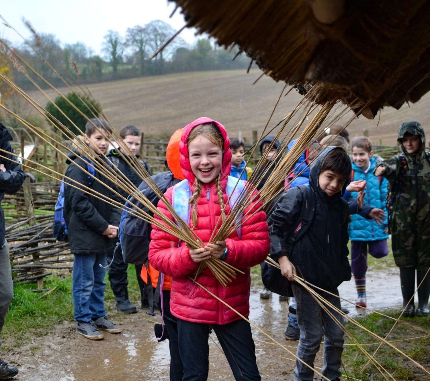 Neolithic project begins! — Butser Ancient Farm