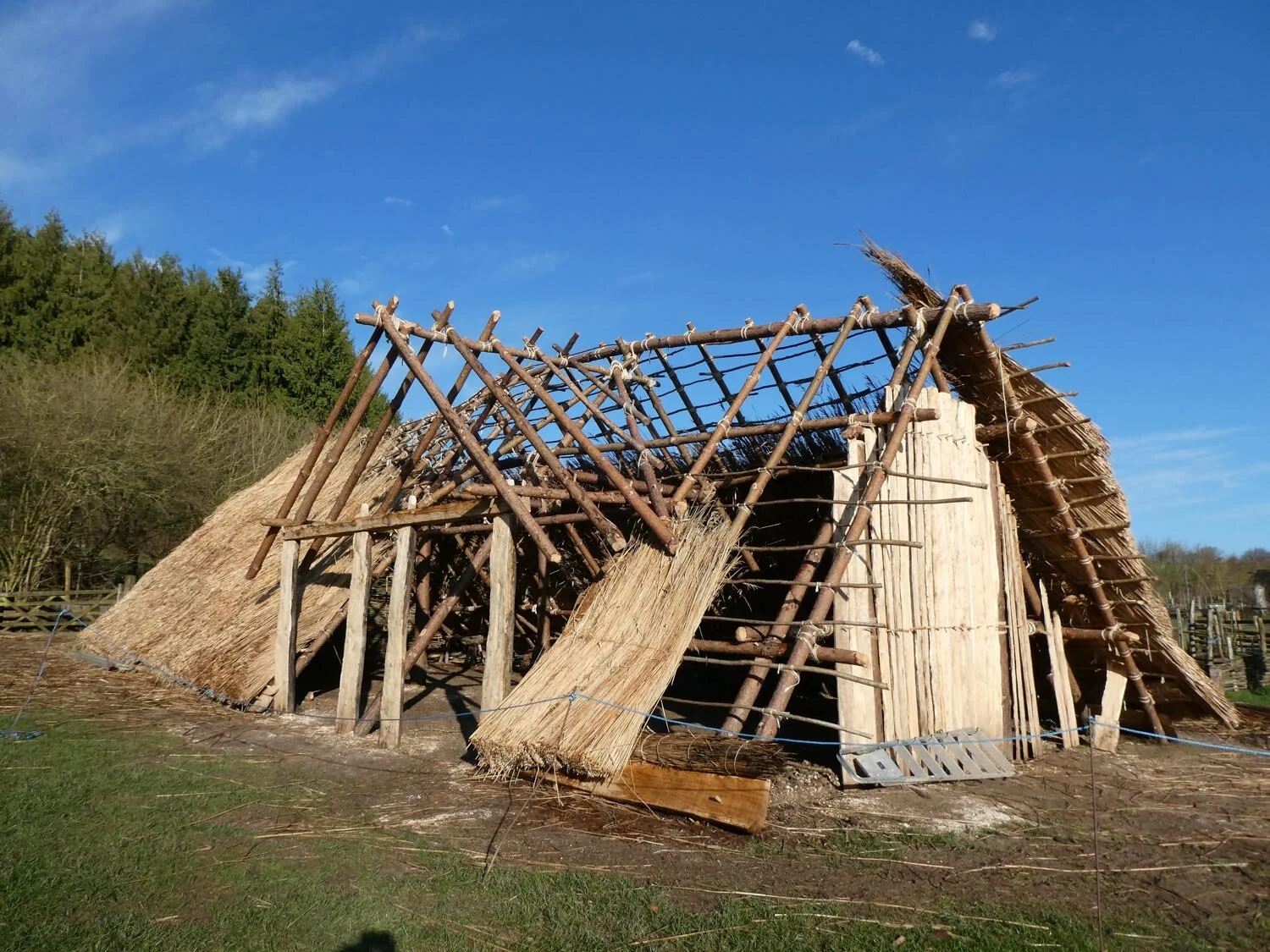 Neolithic House Project week 10 — Butser Ancient Farm