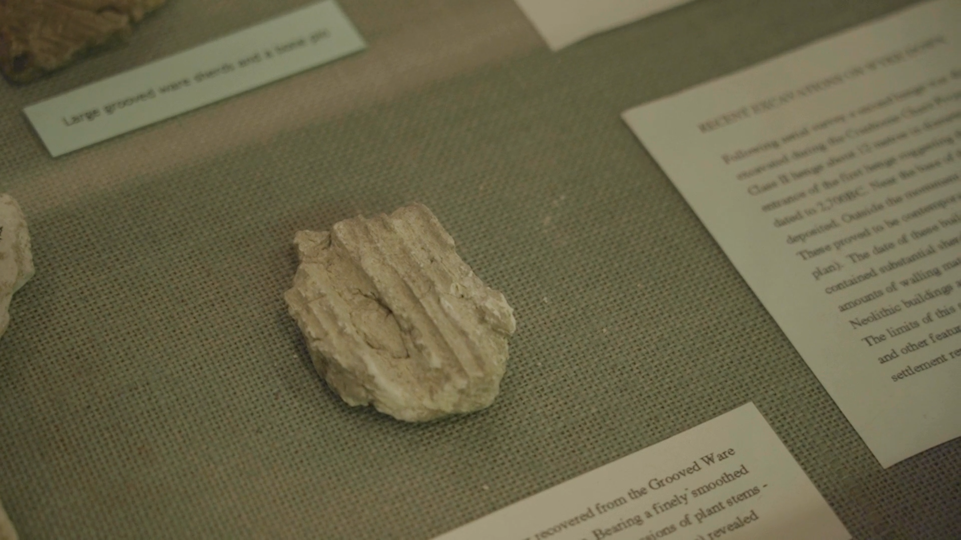 Step inside the Stone Age: our newest building is here! — Butser ...