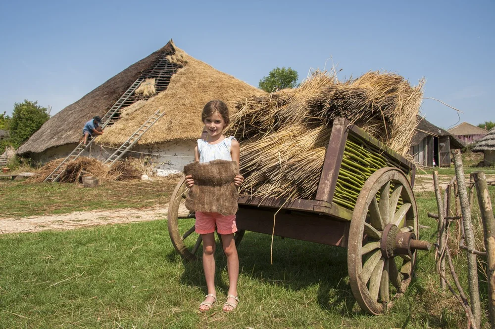 Mission & Values — Butser Ancient Farm