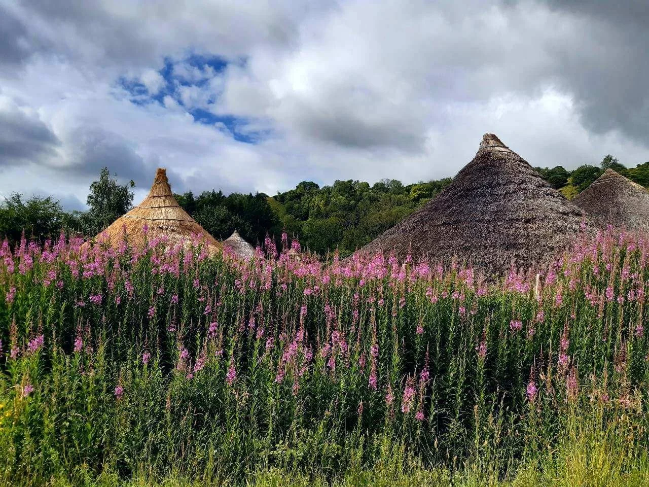 Butser Ancient Farm