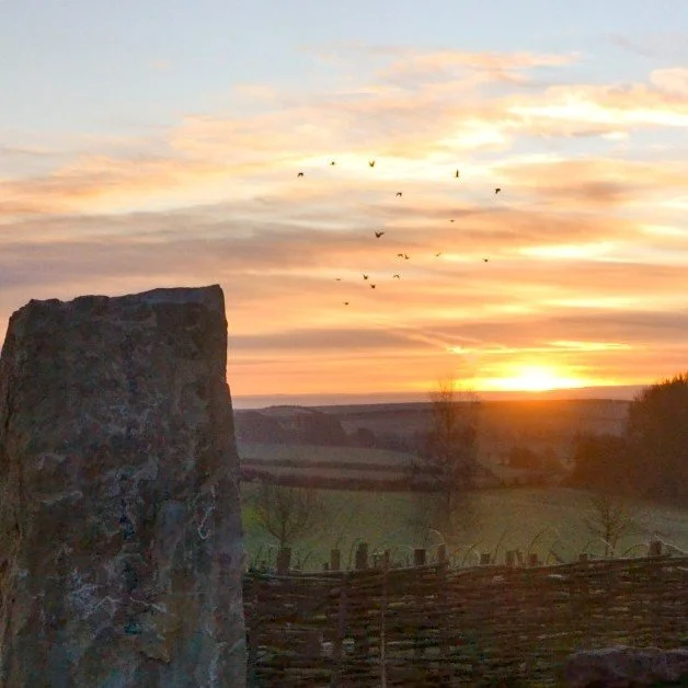 Butser Ancient Farm