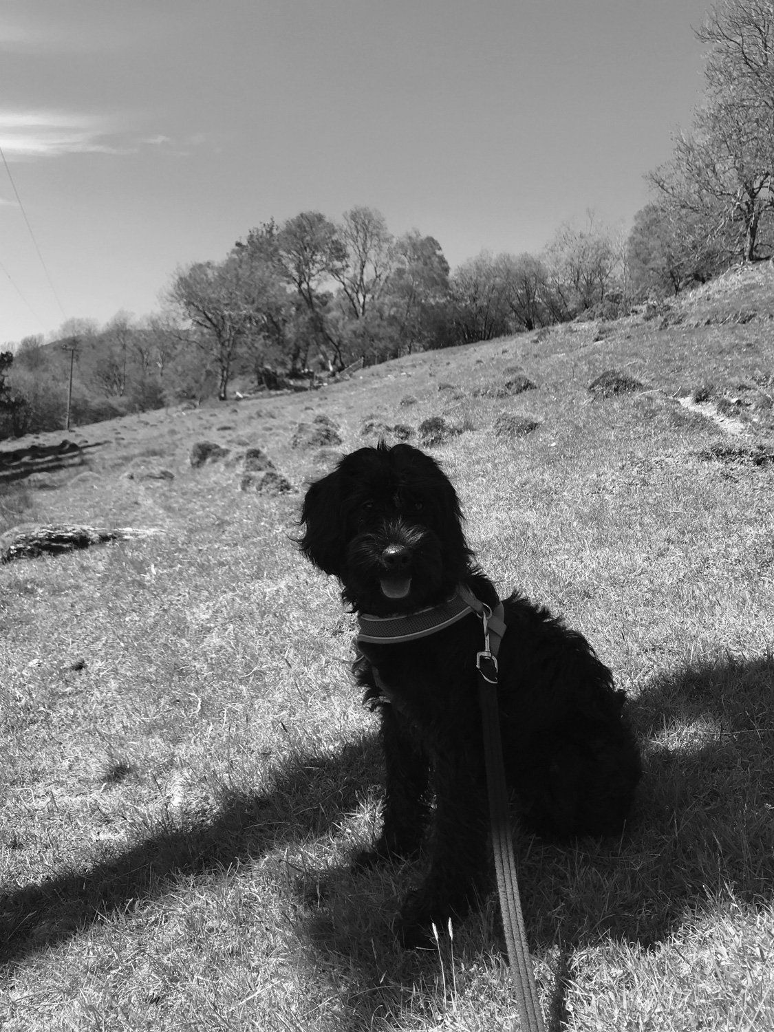 Meet Our Team | Expert Designers & Creatives in London — Vinegar Creative