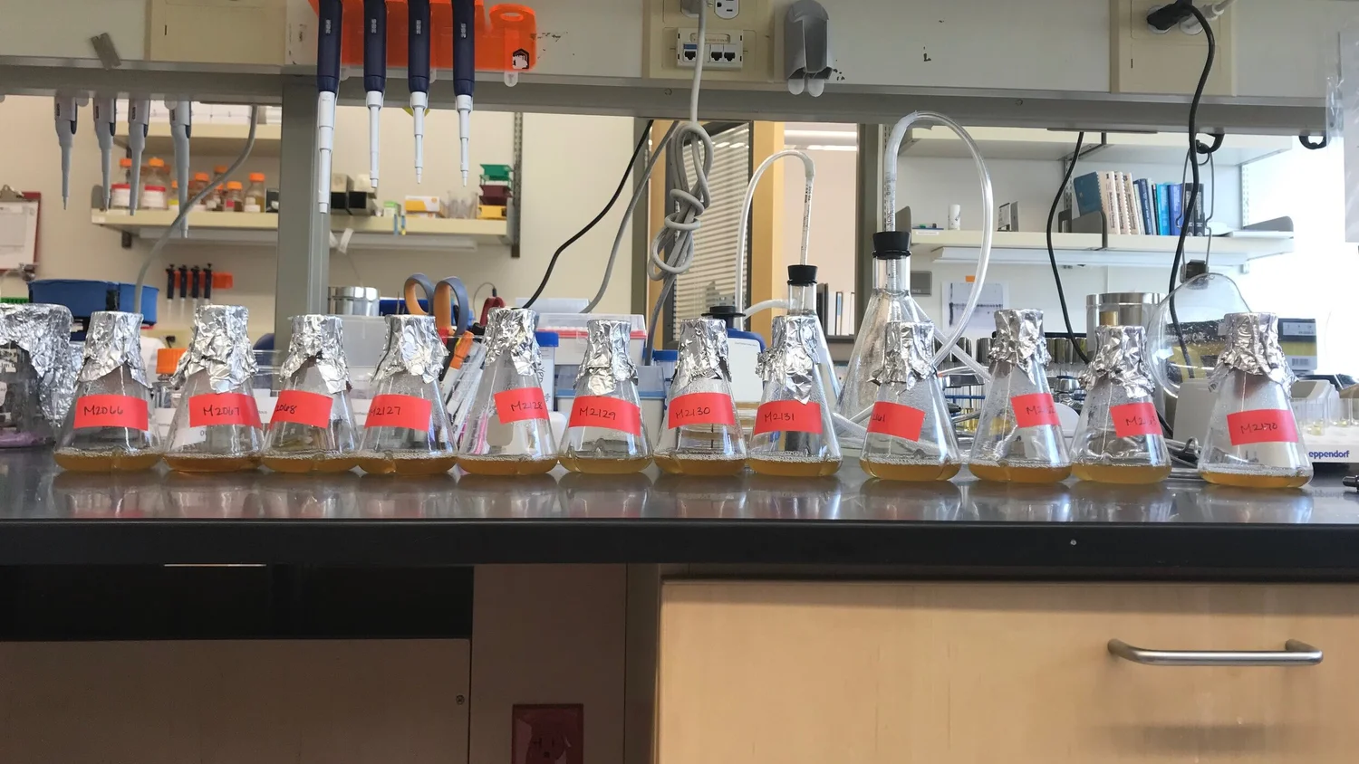 Research — Miller Lab