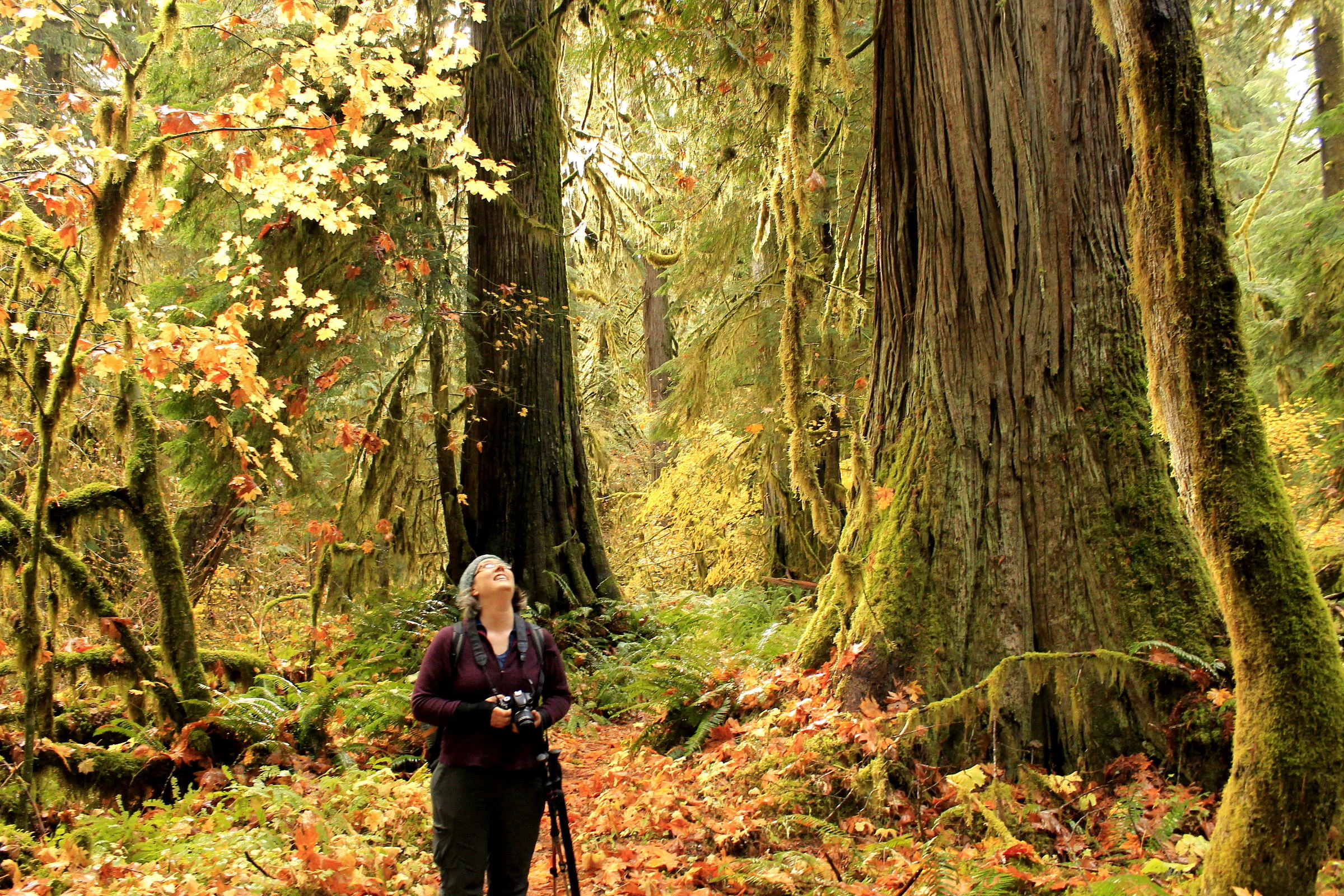 14. Lower Lewis River Trail — Off the Beaten Trail!