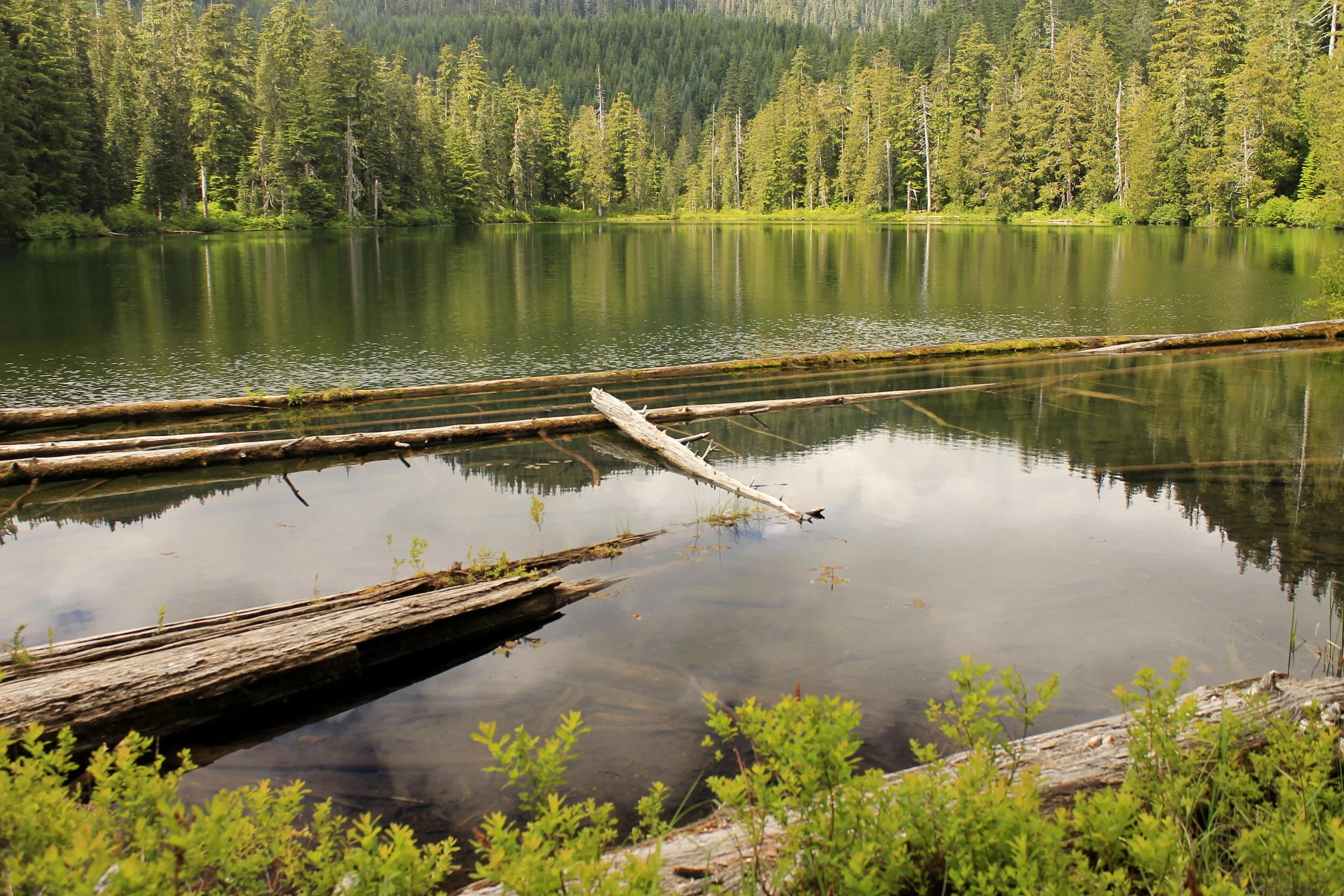 Opal Lake and Opal Creek Falls — Off the Beaten Trail!