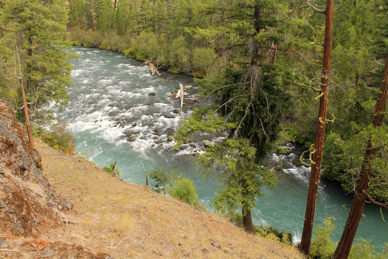 Lower Metolius River - September 15, 2019 — Off the Beaten Trail!