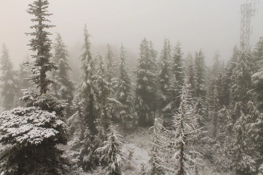 Indian Ridge Lookout - October 3 - 5, 2019 — Off the Beaten Trail!