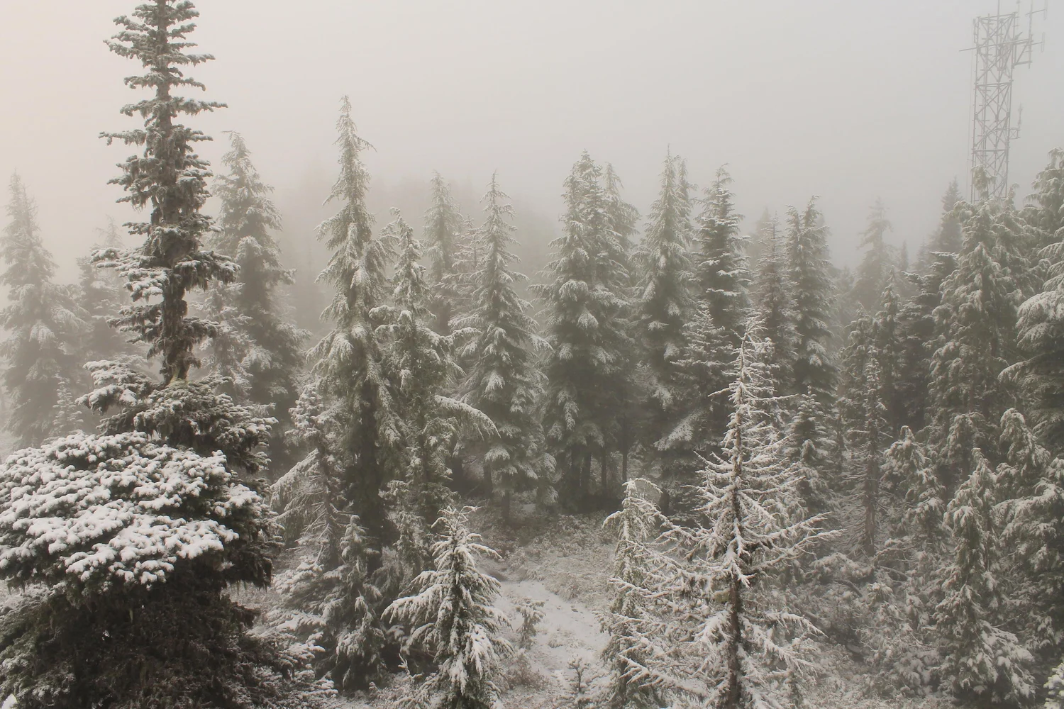 Indian Ridge Lookout - October 3 - 5, 2019 — Off the Beaten Trail!