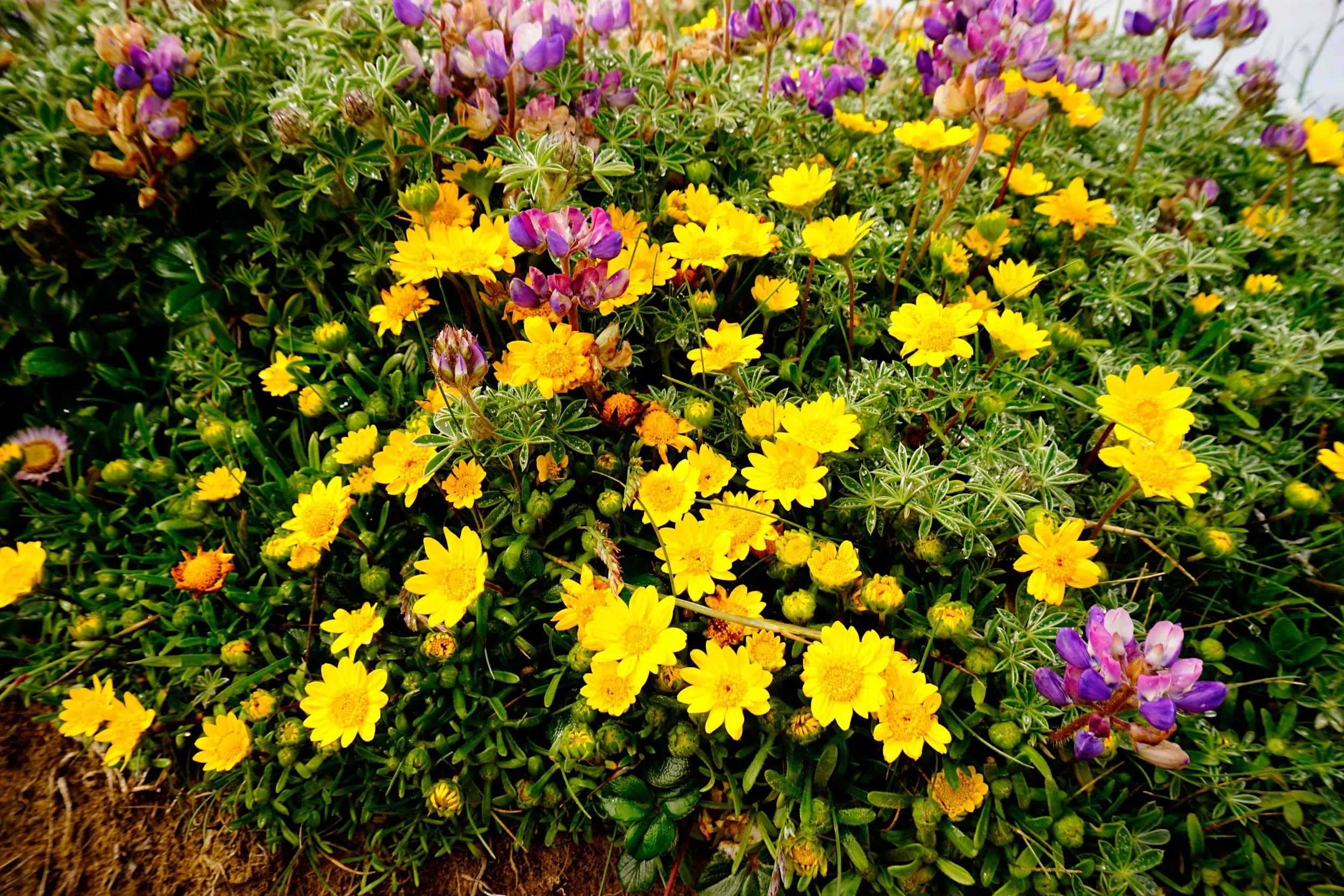 Blacklock Point — Off the Beaten Trail!