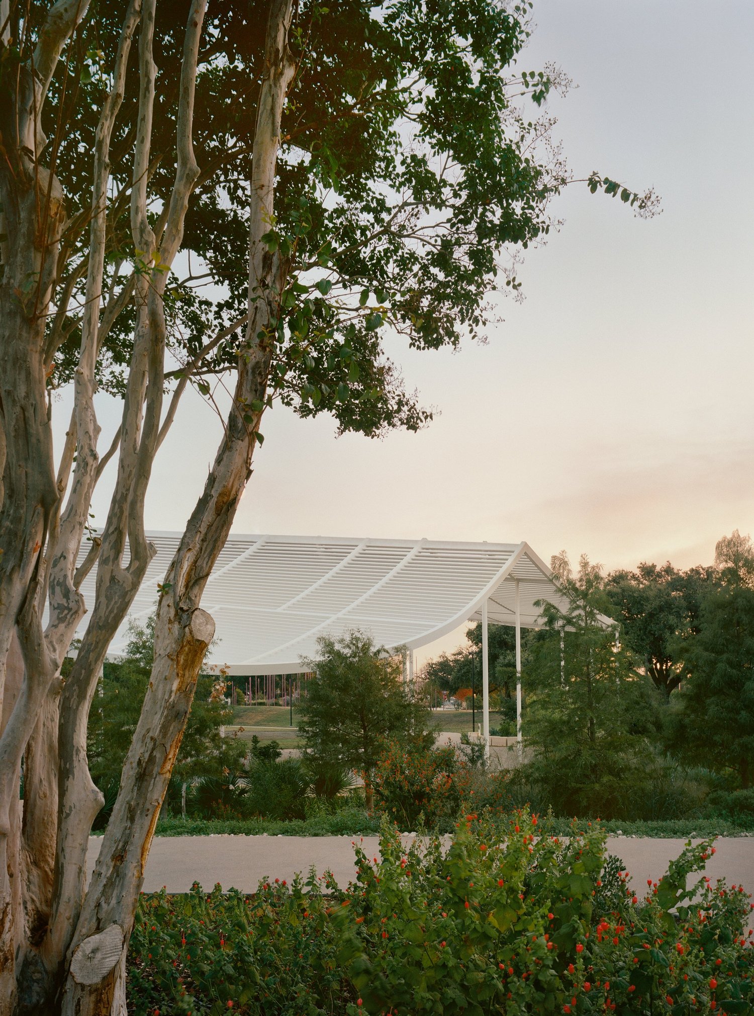 SJEC PAVILION — AGENDA ARCHITECTURE