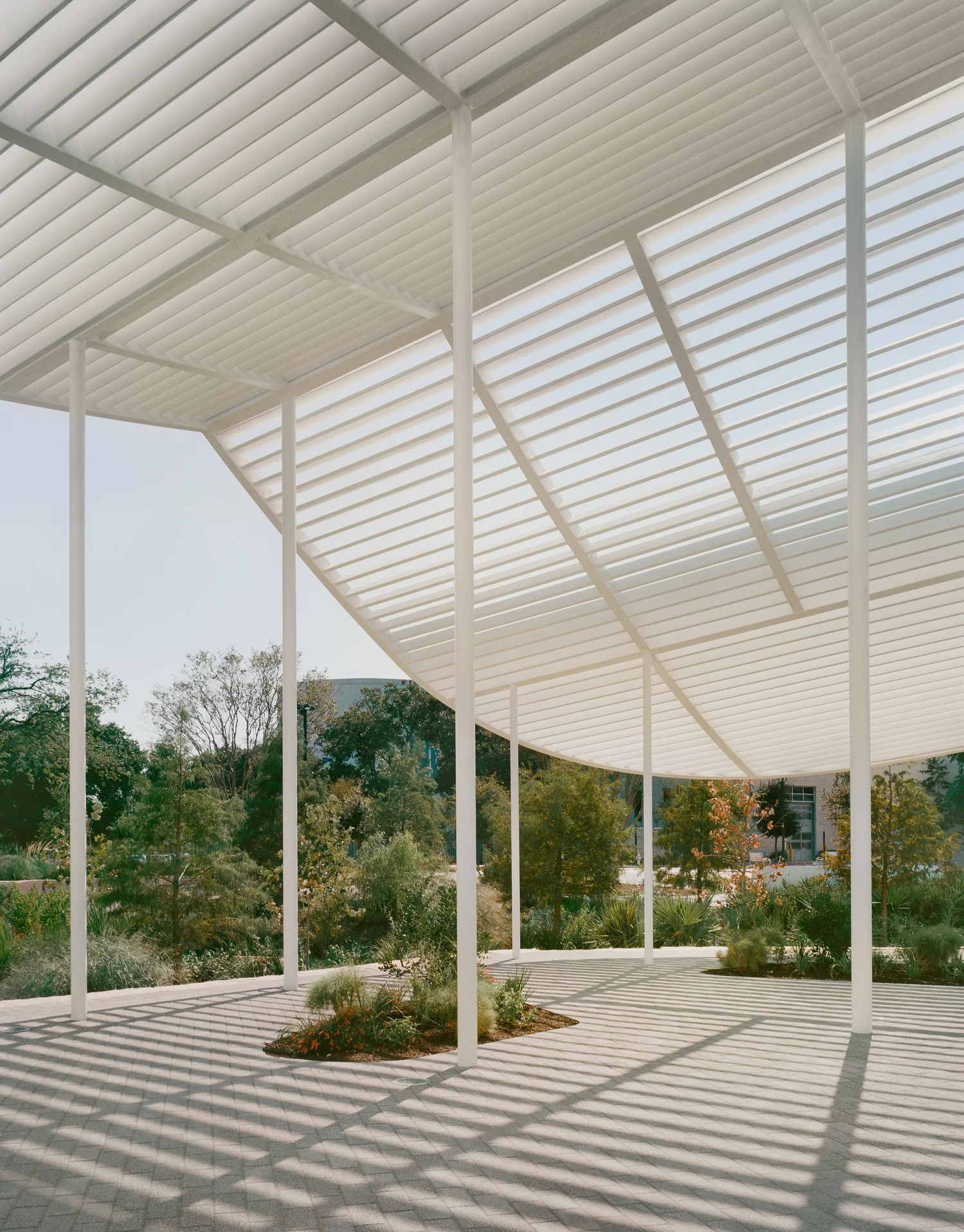 SJEC PAVILION — AGENDA ARCHITECTURE