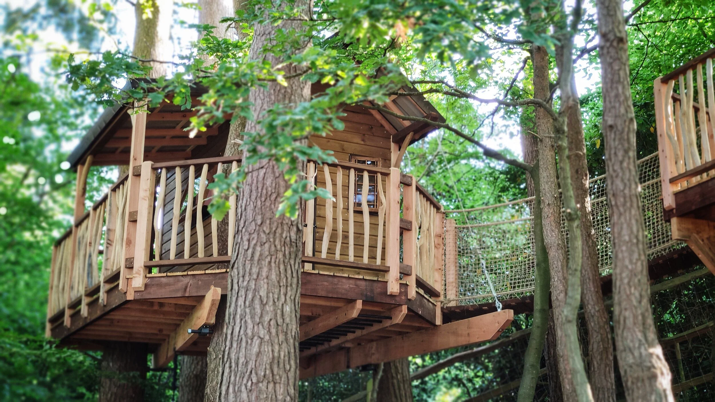 Treehouse Builders UK | Treehouses UK | Treetop Co UK