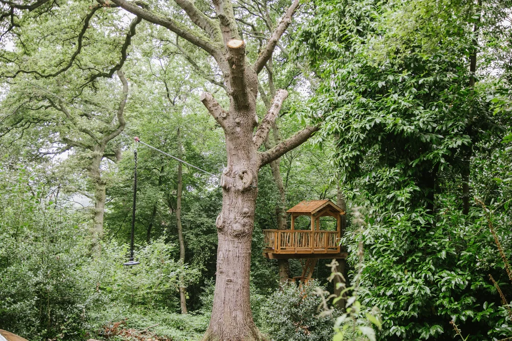 Reconnecting with Nature: The Importance of Outdoor Spaces in Urban ...