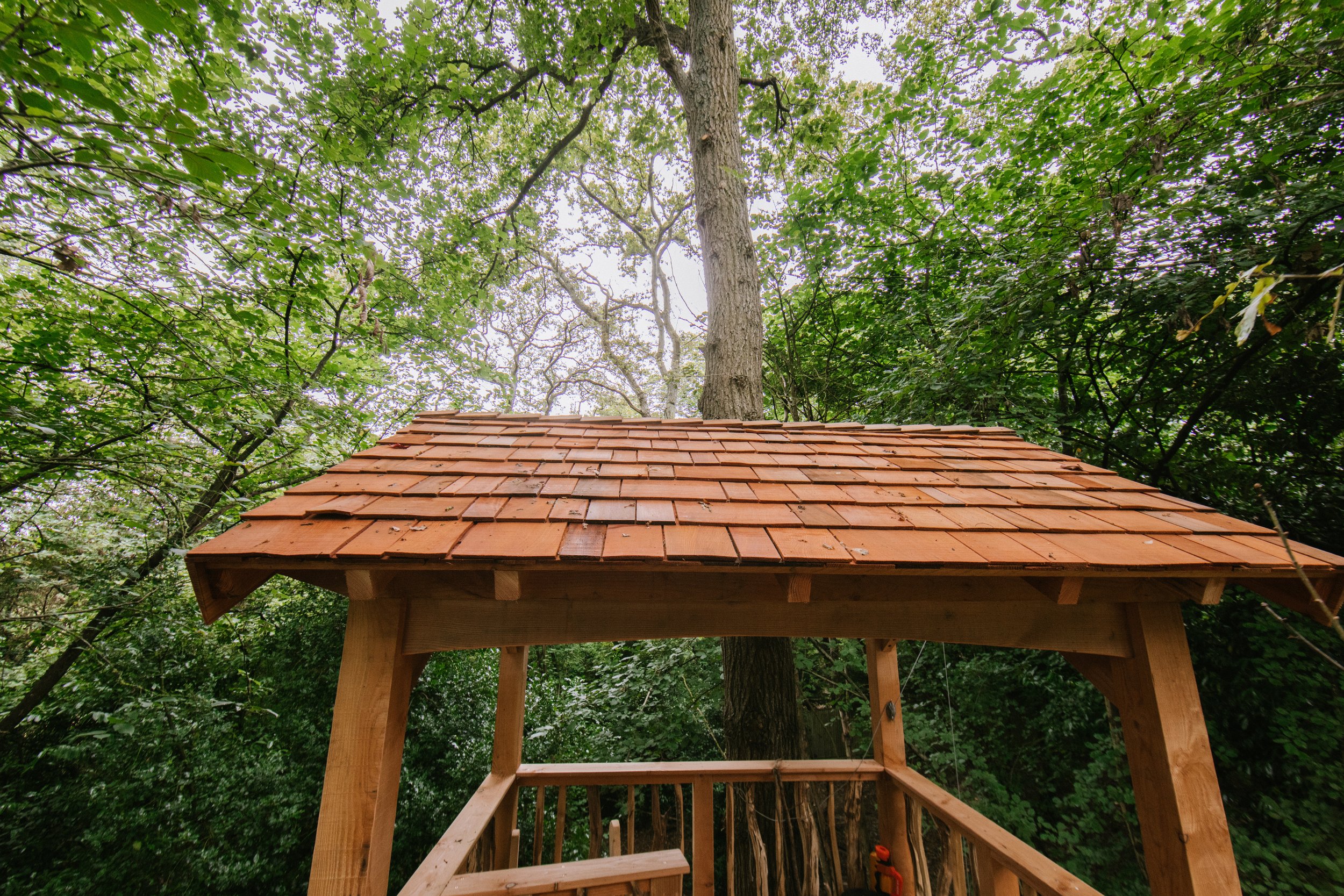 Fox Treehouse