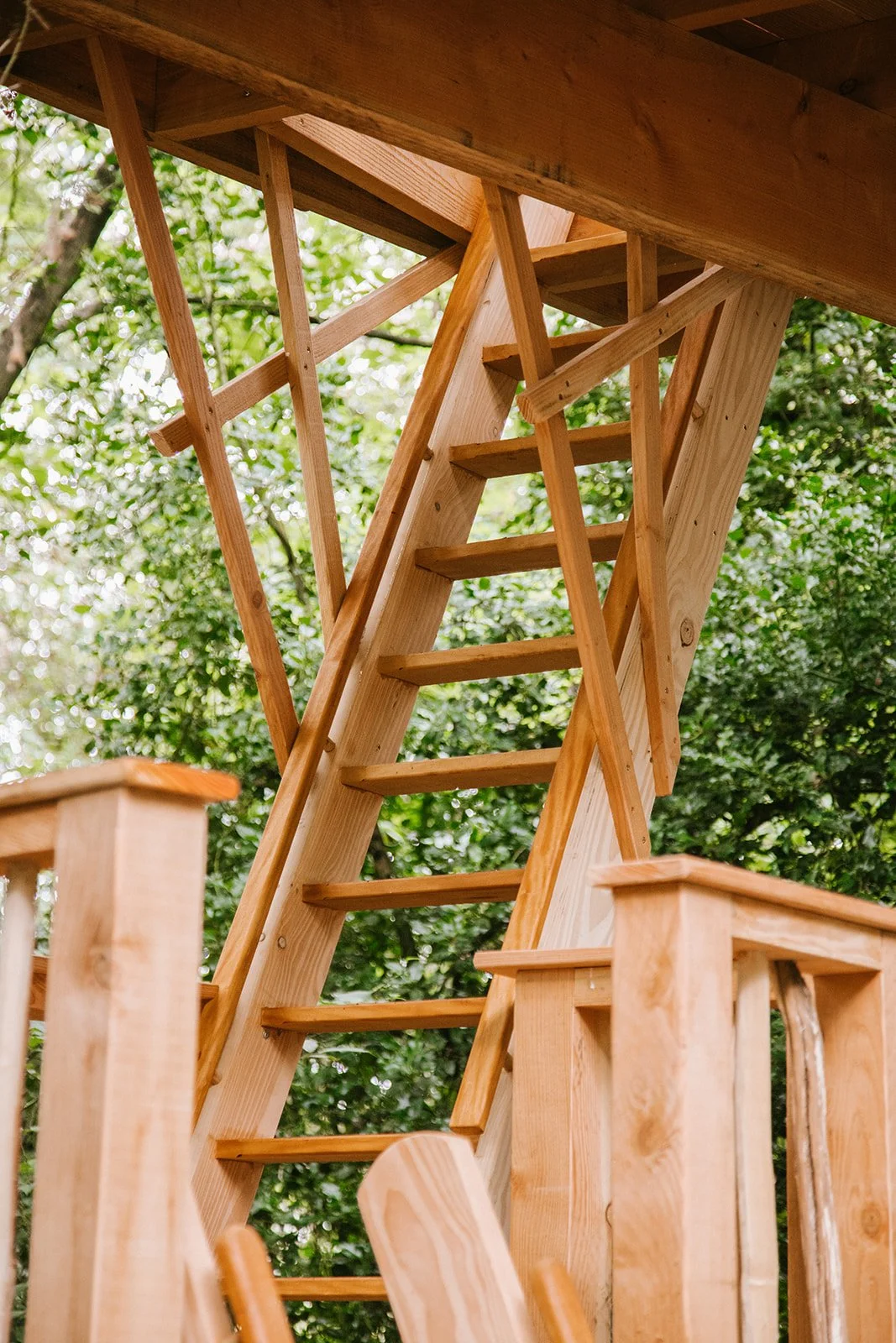 Fox Treehouse
