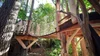 16 Kids Treehouse Design Ideas — Treehouse Builders UK | Treehouses UK ...