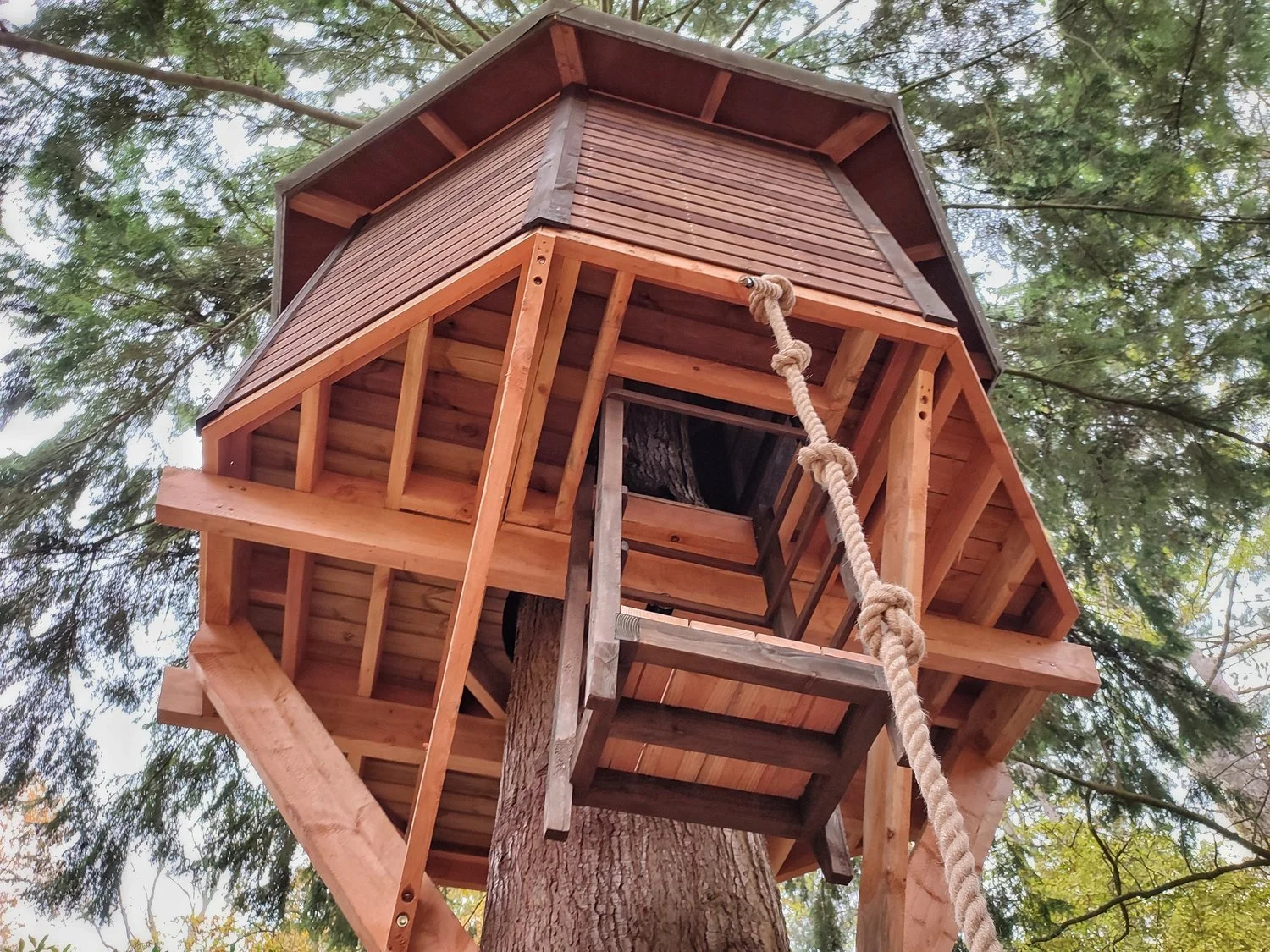 16 Kids Treehouse Design Ideas — Treehouse Builders UK | Treehouses UK ...
