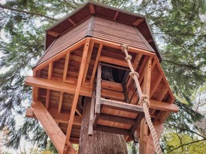 16 Kids Treehouse Design Ideas — Treehouse Builders UK | Treehouses UK ...