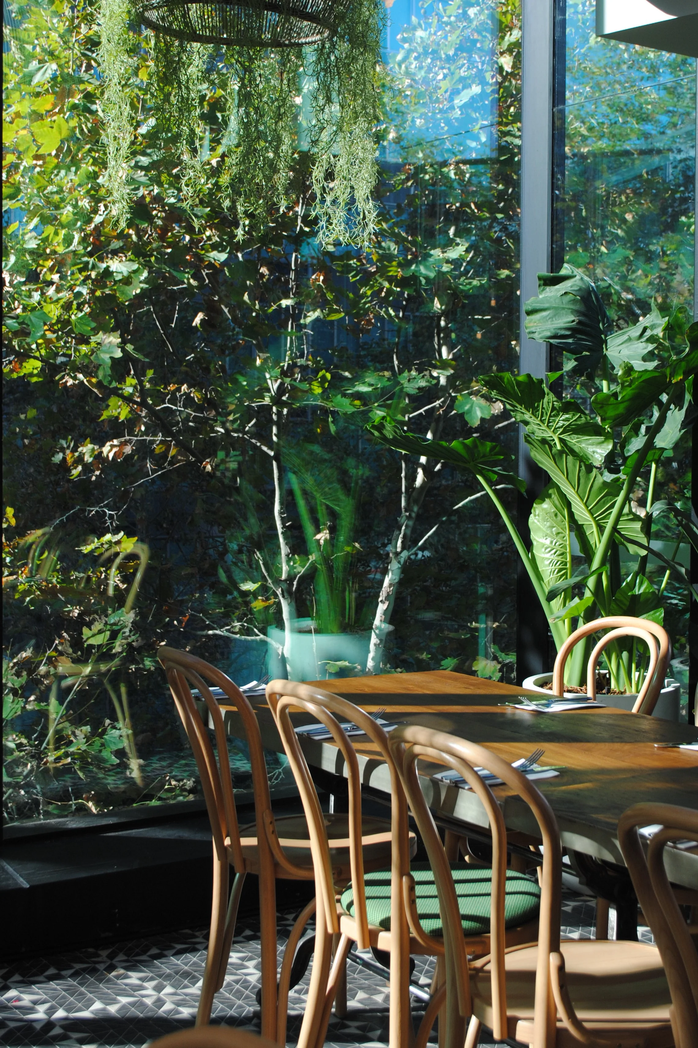 Gallery — Green Moustache