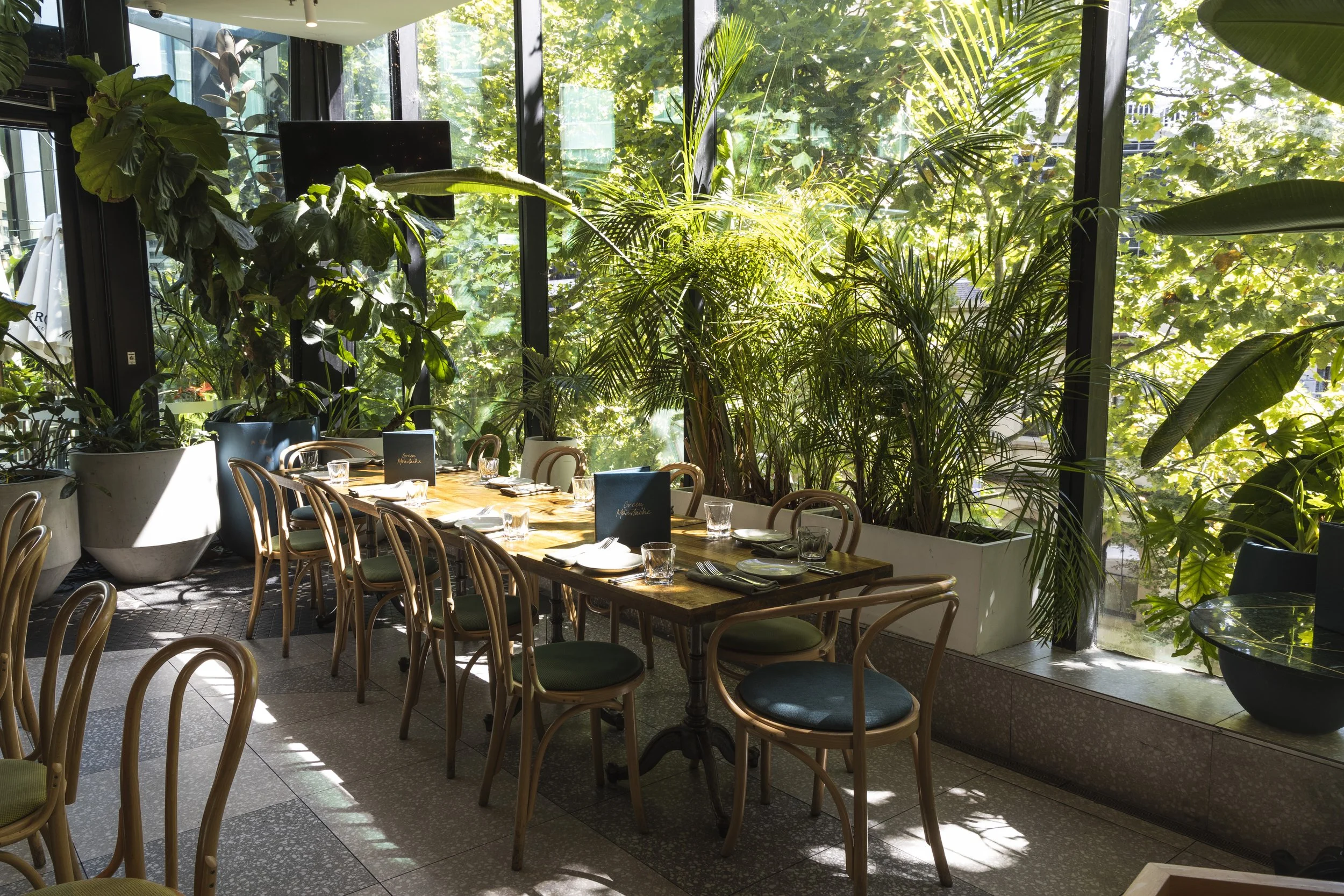 Gallery — Green Moustache