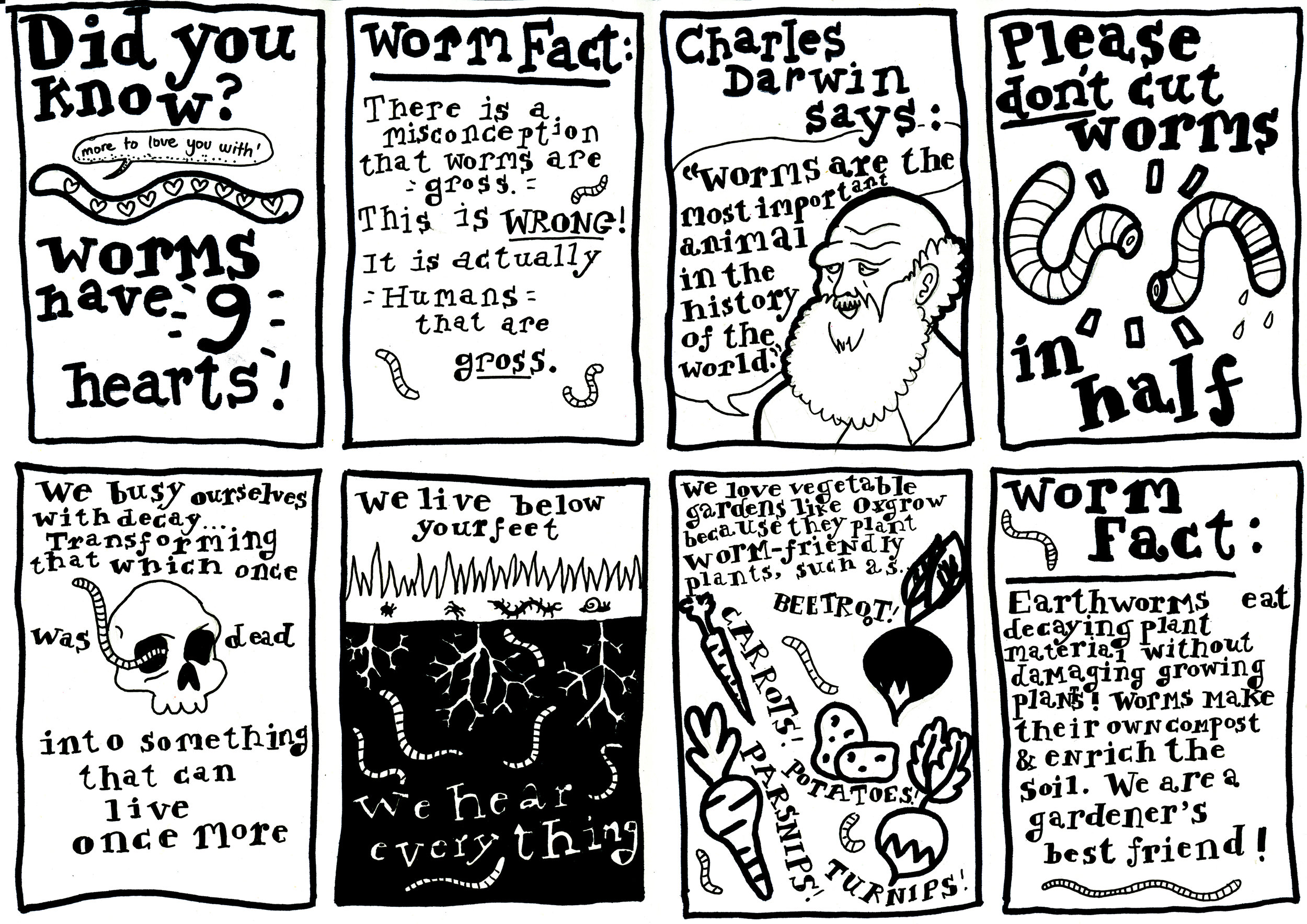 Worm Hill — Neeli Malik