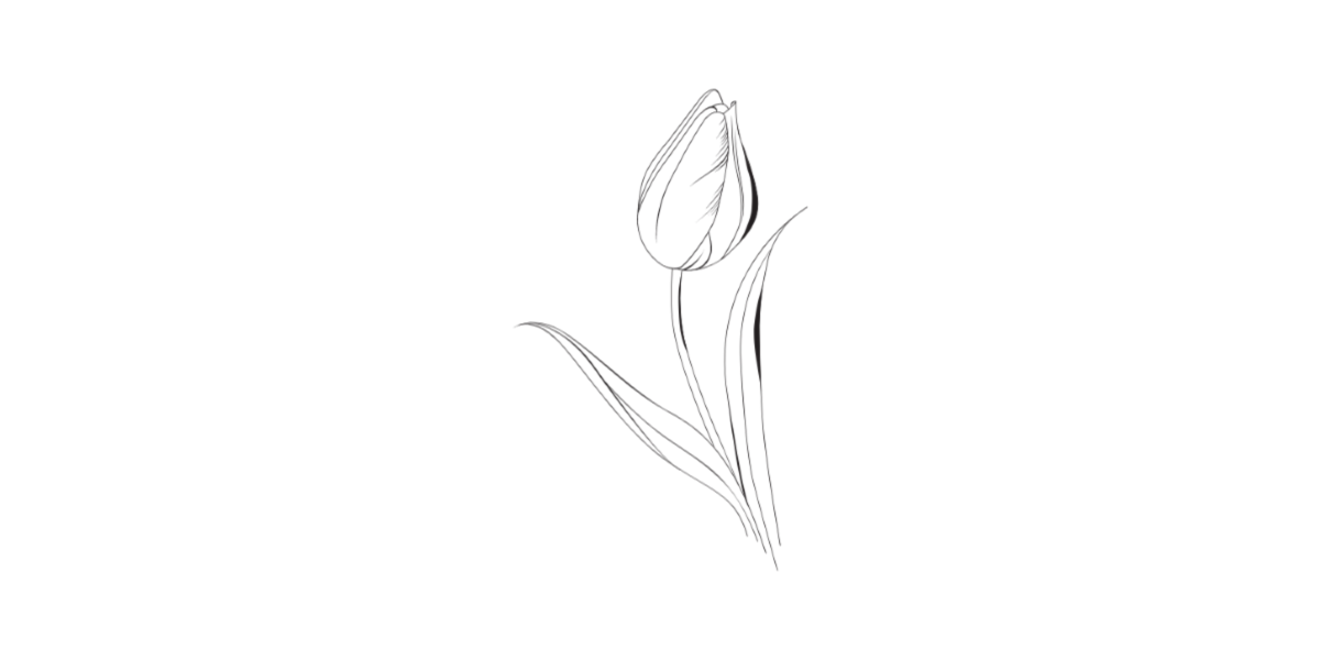 Tulip Restaurant | American Cuisine | Ottawa ON | Downtown Ottawa