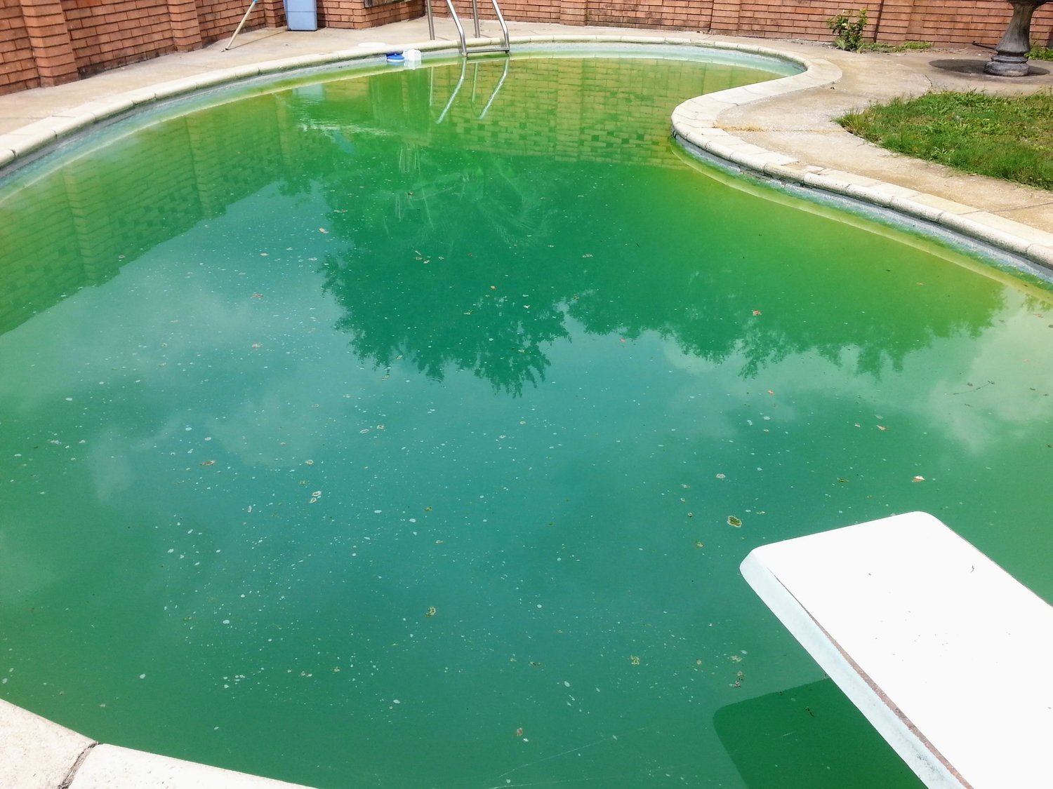 Green Pools-Jeff's Pool & Spa Service