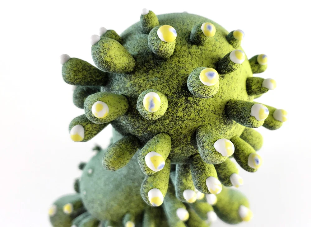 Toni Losey — Studio Magazine