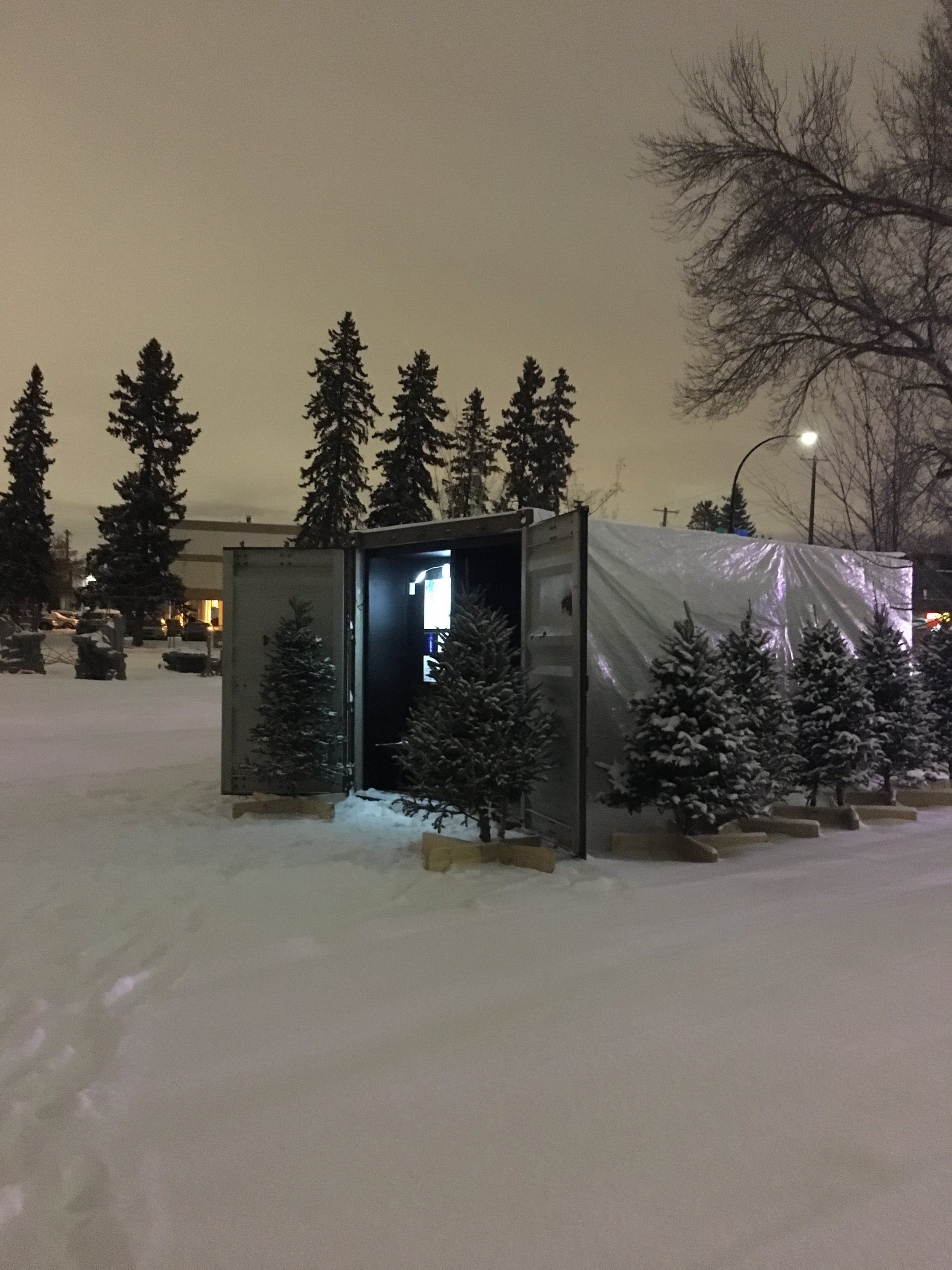 Tyler Rock — Studio Magazine