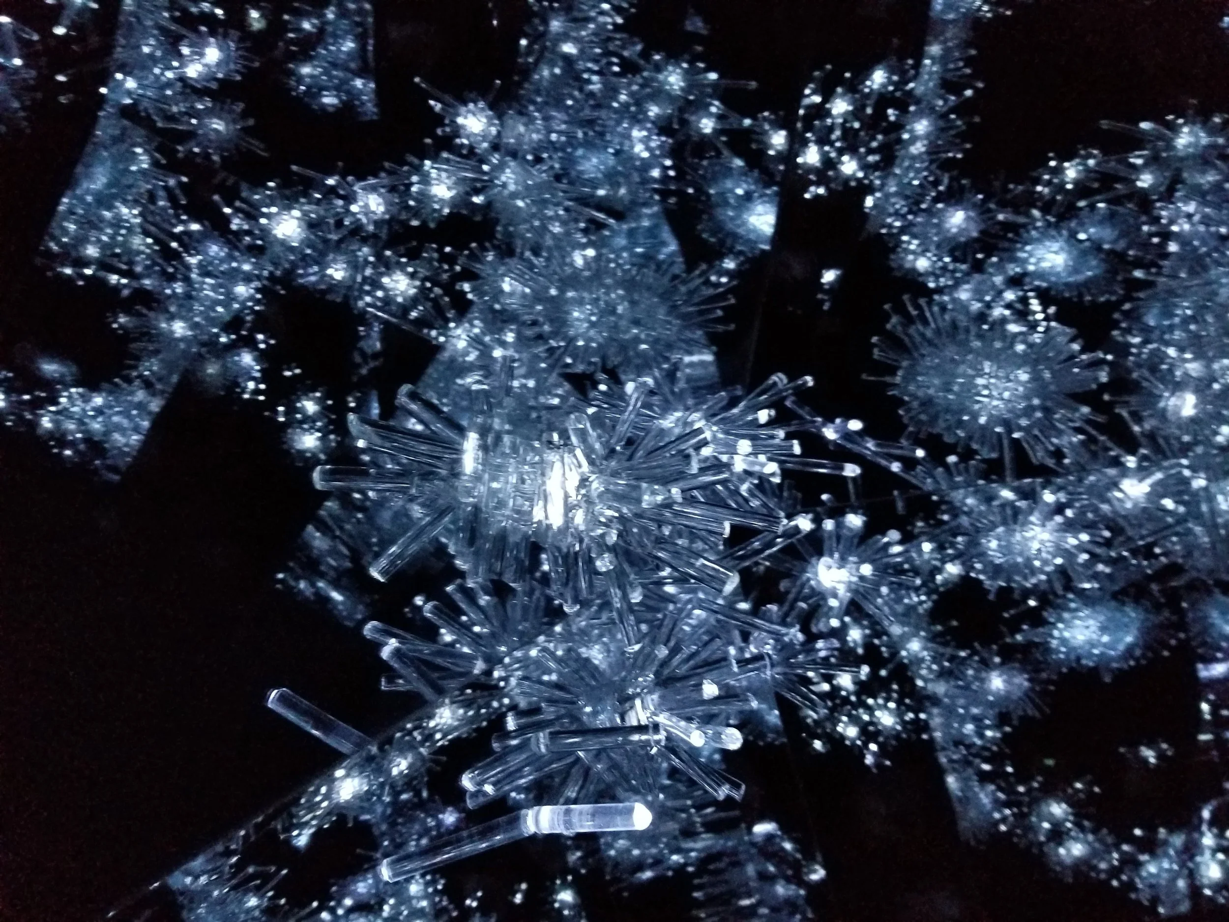 Tyler Rock — Studio Magazine