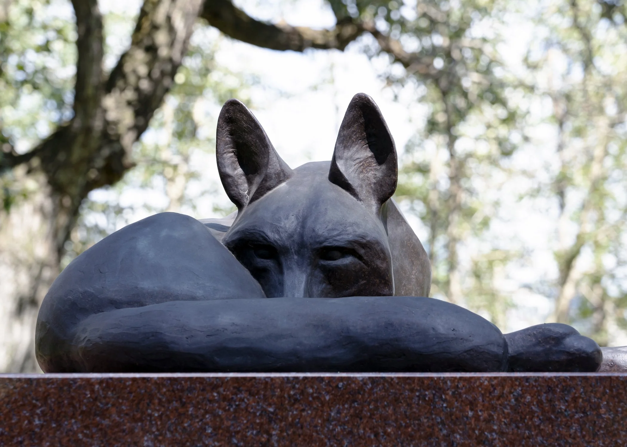 ᐄᓃᐤ (ÎNÎW) River Lot 11∞ Edmonton's Indigenous Art Park: A place for ...