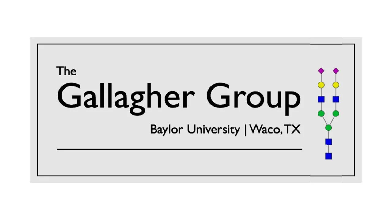 Gallagher Group